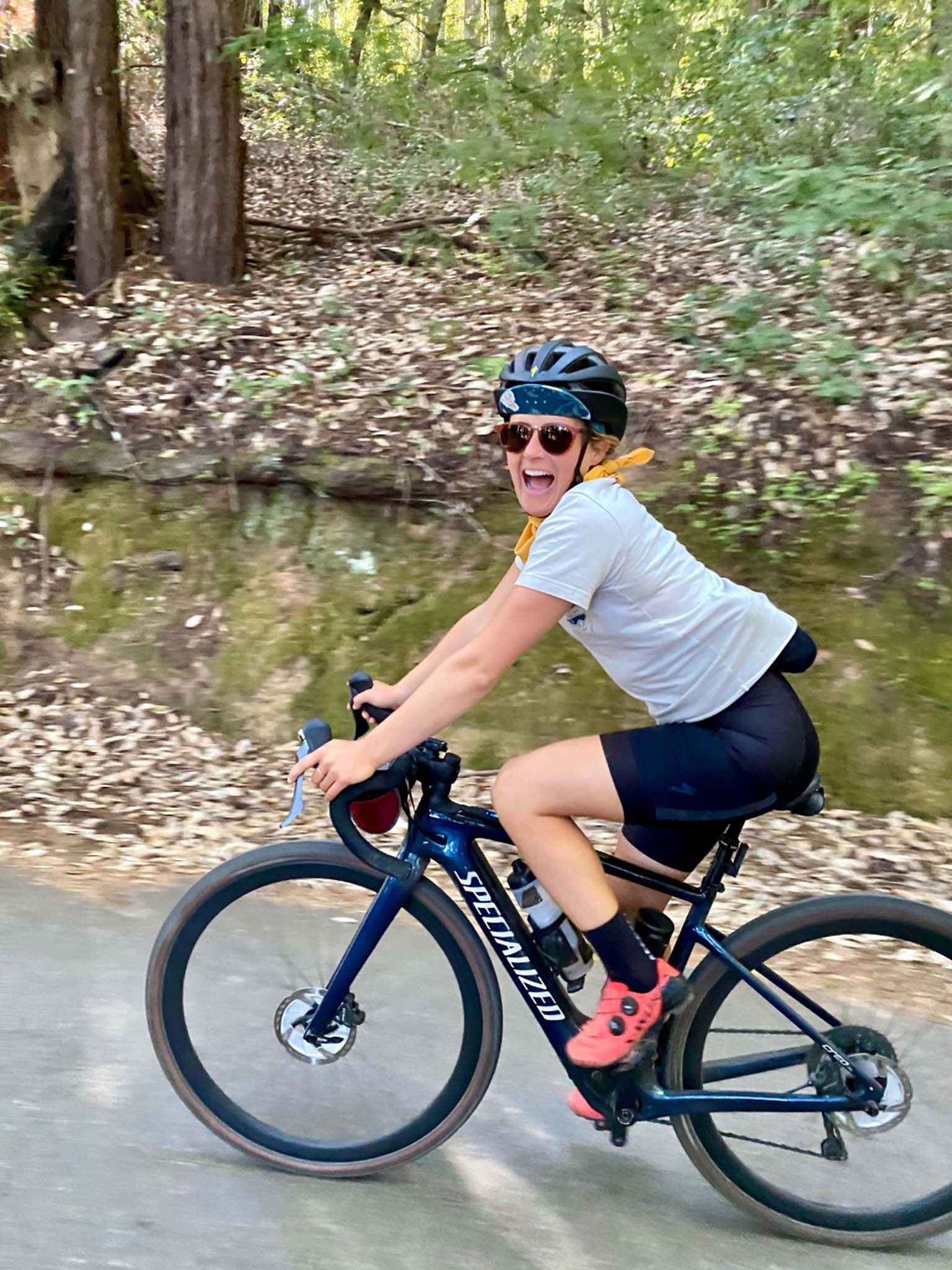 Active E-Bikes — Available at Incycle – Incycle Bicycles