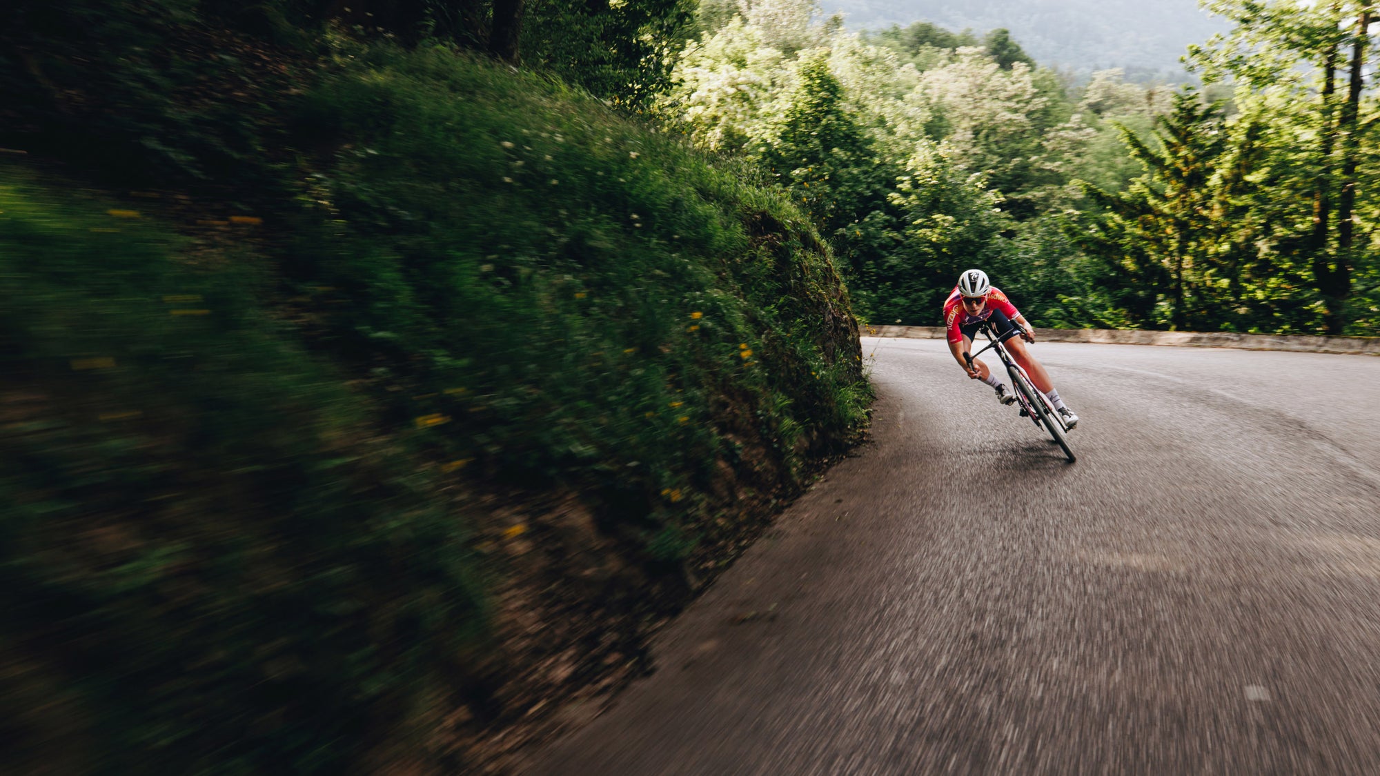 Welcome to the Incycle Marketplace! Specialized, Scott, Pivot and more ...