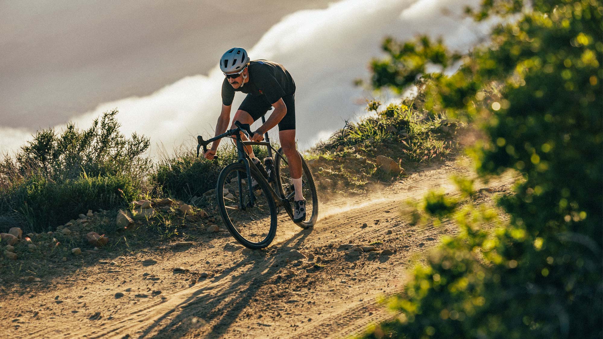 Road Bikes / All-Road / Gravel Bikes — Available at Incycle – Incycle ...