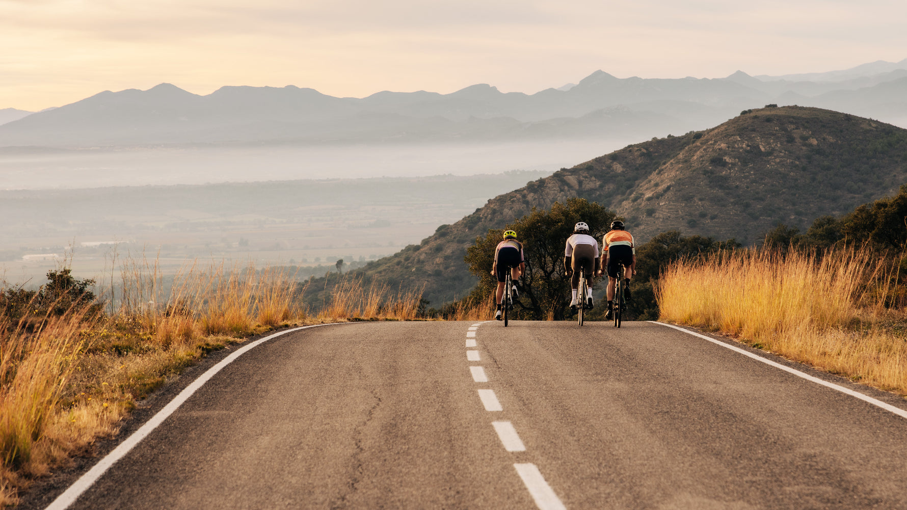 Welcome to the Incycle Marketplace! Specialized, Scott, Pivot and more ...