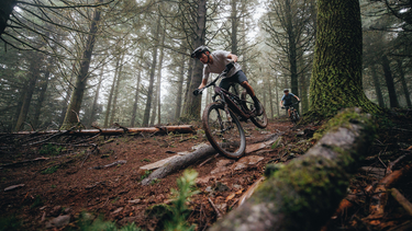 Welcome to the Incycle Marketplace! Specialized, Scott, Pivot and more ...